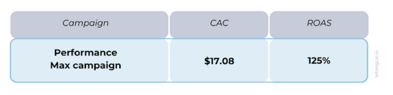 Performance Max campaign - Pros, cons, and benchmarks