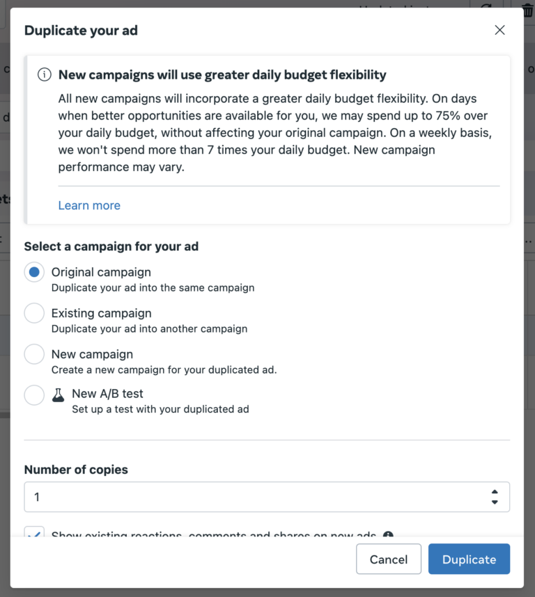 Multiple Ads per Ad Set vs. One Ad per Ad Set - Lebesgue: AI CMO