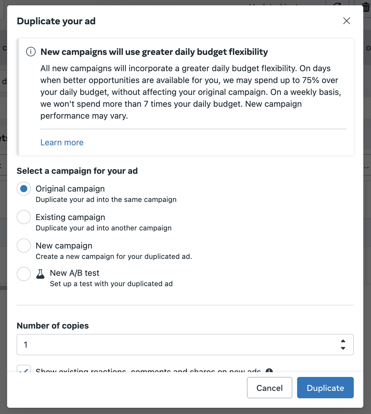 Multiple Ads per Ad Set vs. One Ad per Ad Set - Lebesgue: AI CMO